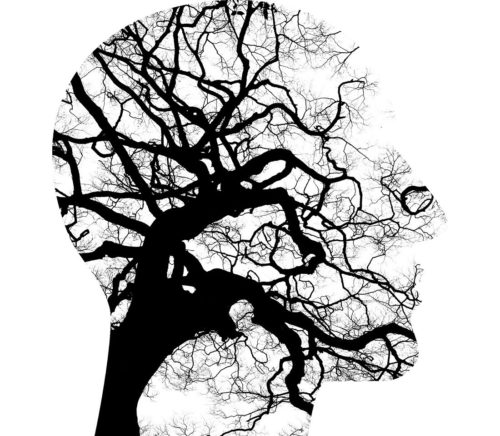 Block Clearance Therapy - Tree of Life Centre
